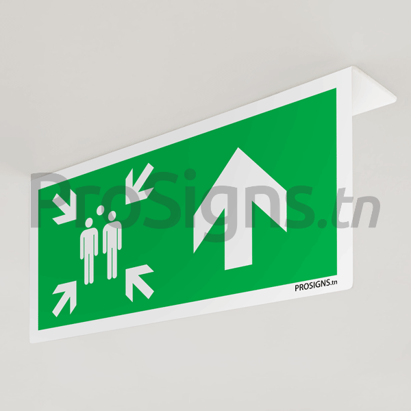 Panneau suspendu E007/A0 - Point de rassemblement après évacuation ...